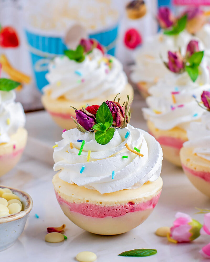 Ledeni desert sa malinama i vanilijom - My Mili Cake